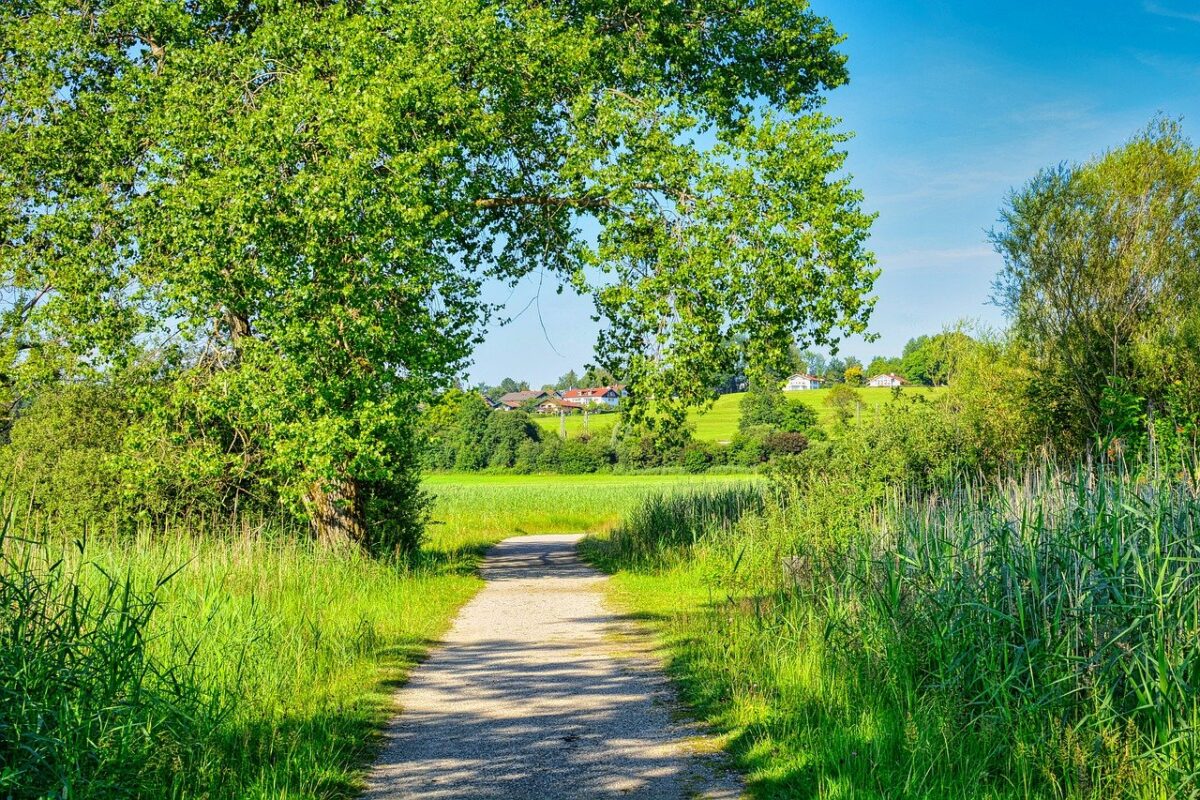 Resources - Silverleaf Management Group